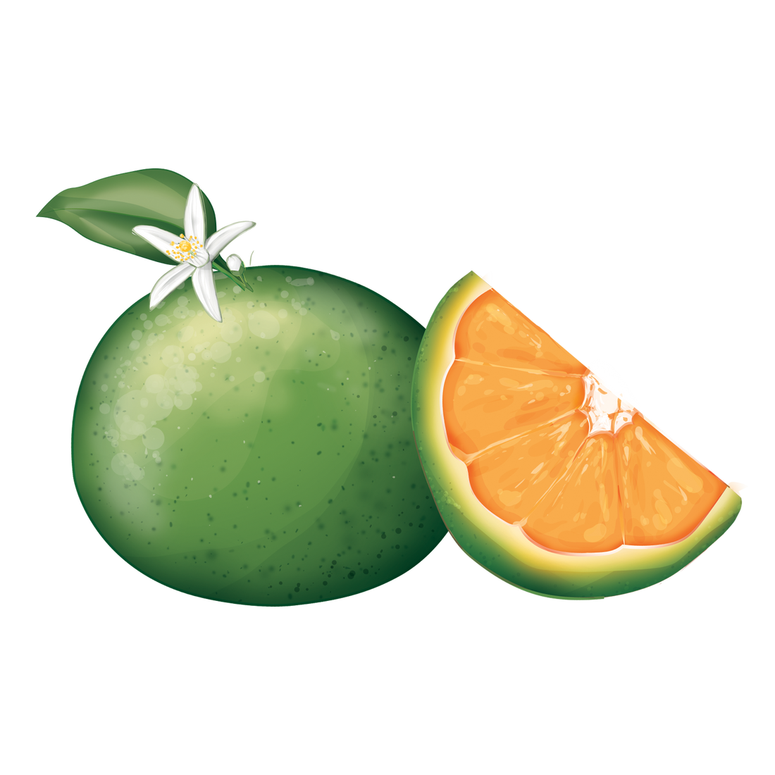 Huile Essentielle de Mandarine Verte | Propriétés et utilisations ...